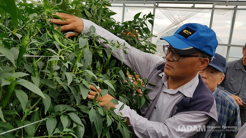 3. Hawaii farmers visit JADAM in Korea - Dr. Chunwoo Nam, National ...