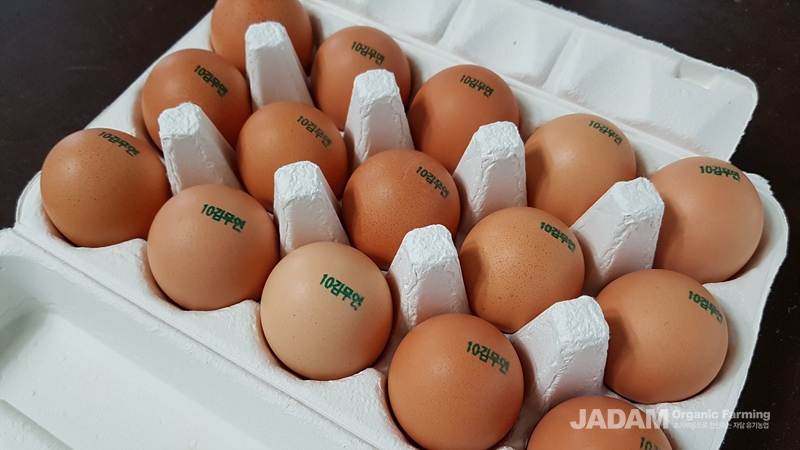 4. Hawaiian farmers visit JADAM farms in Korea - Mr. Muyeon Kim's ...