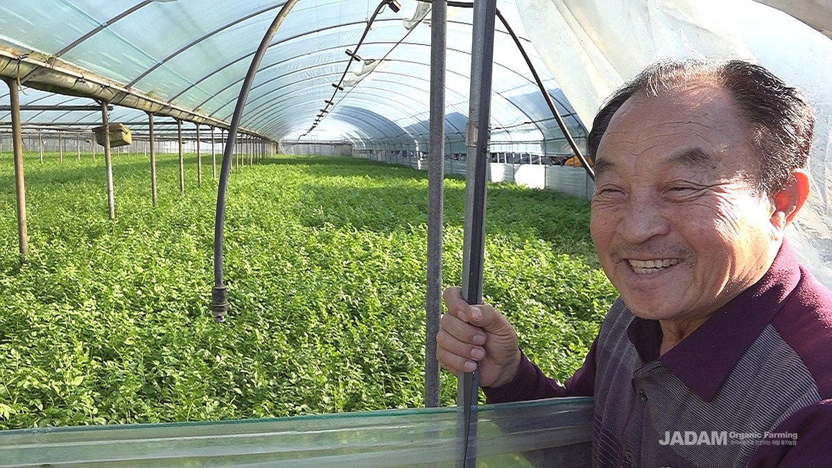 With JWA and JLF, farming organic water parsley is easy.
