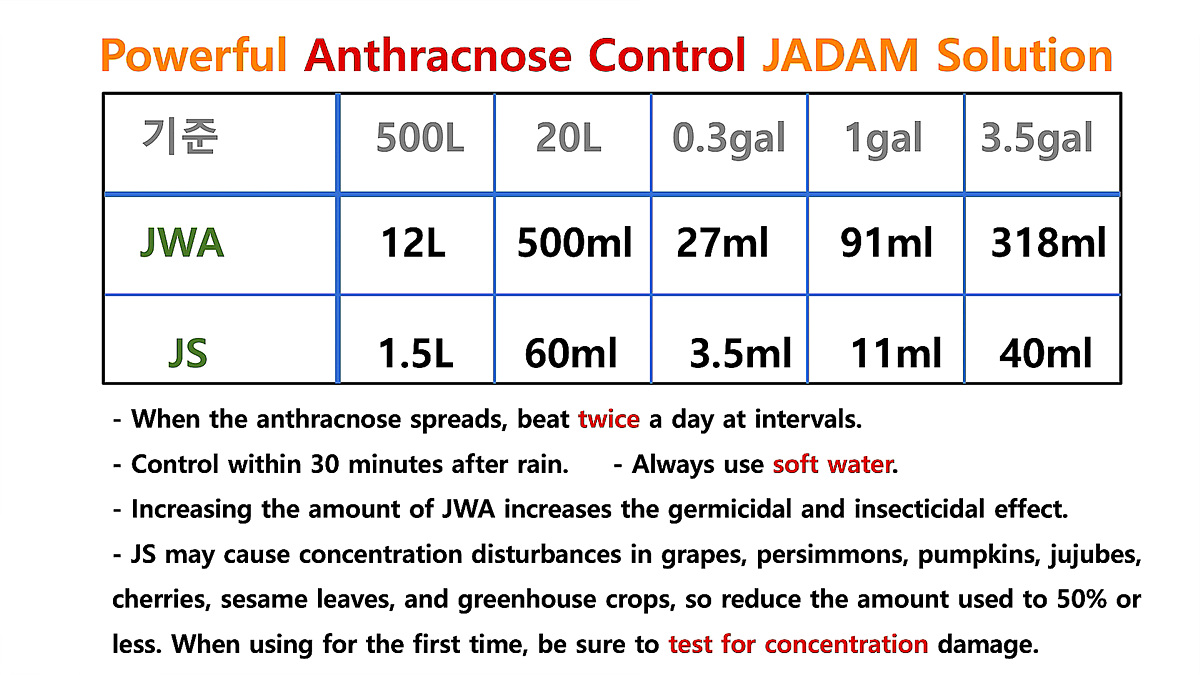 The World's First Invention, Powerful DIY Anthracnose Pesticide!
