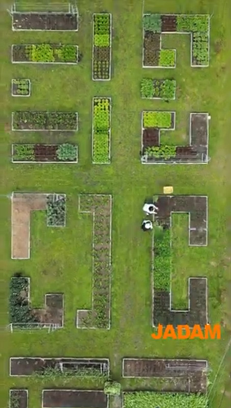 JADAM Organic Farm from the Sky