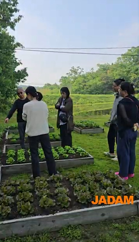 JADAM Organic Farm Today with JMP