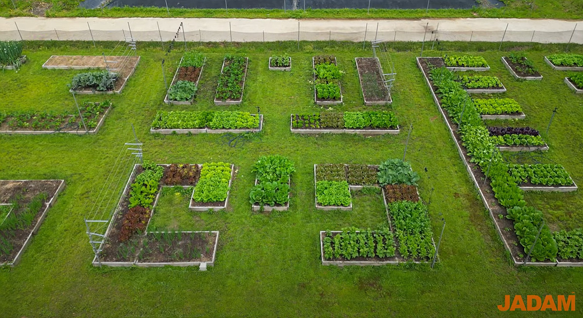 JADAM Organic Farm- 2025.05.19