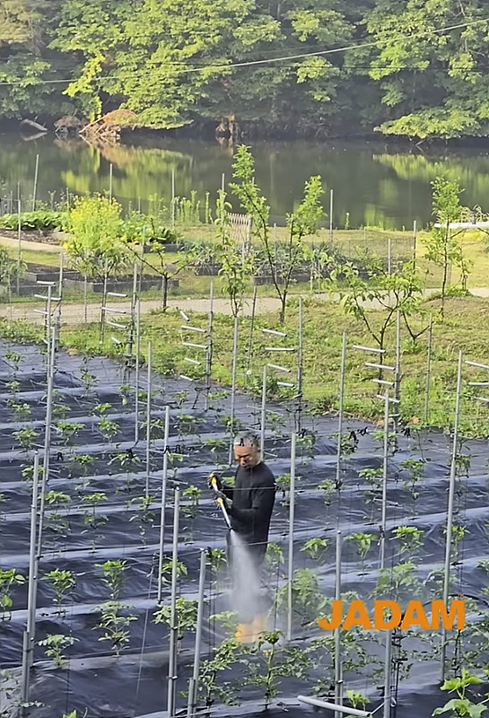 Everyday JADAM Farming