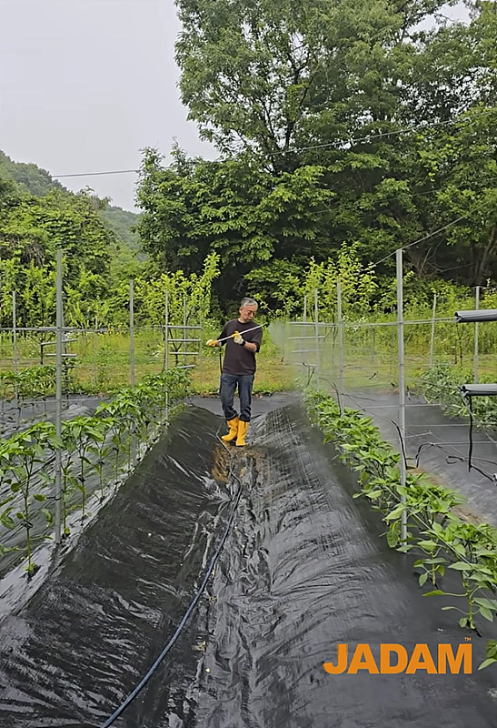 No mask needed — Safe for bees, frogs, and spiders