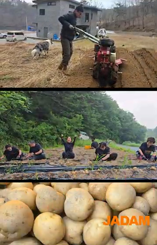 JADAM Organic Potatoes