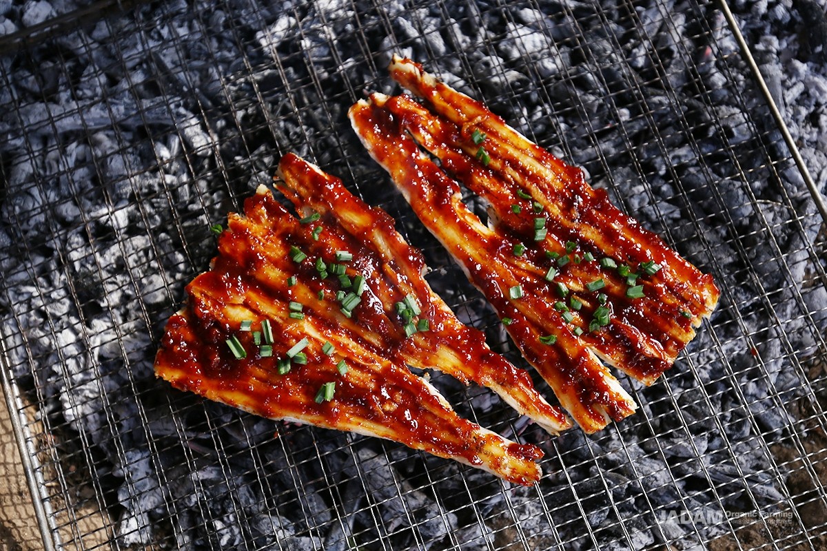 Deodeok (Korean Bellflower Root)