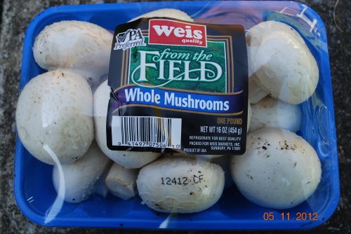 Medicinal Mushroom Story: Button Mushroom